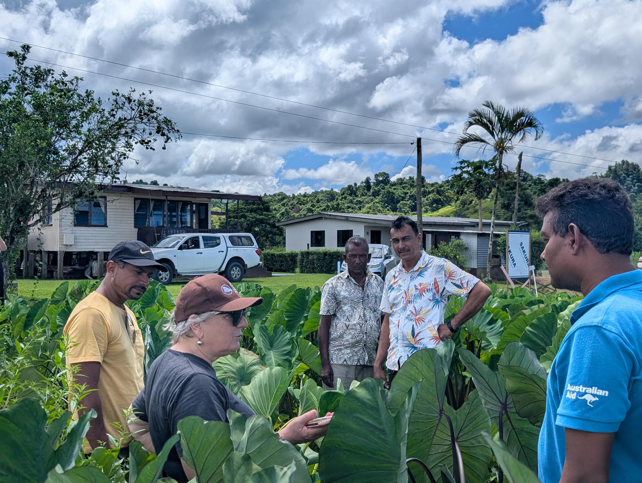 ORCaSa Fiji hosts soil carbon workshop - ORCaSa